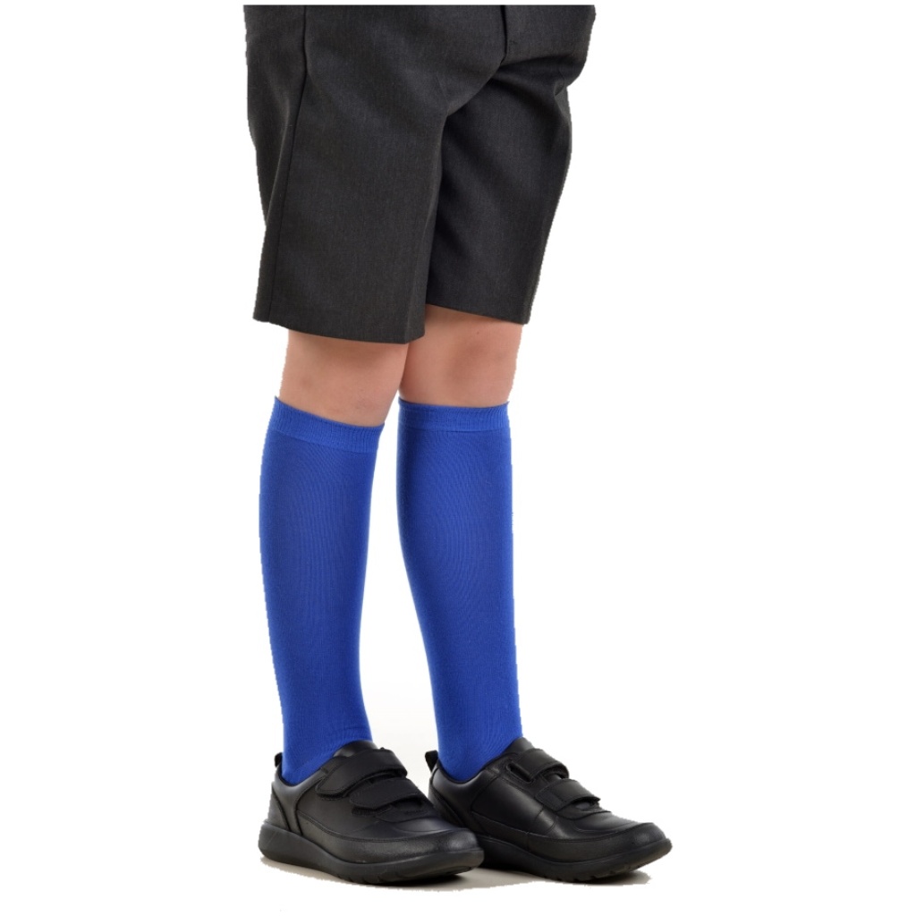 Girls Knee High Socks (2 Pair Pack) (Royal) - School Uniform Scotland